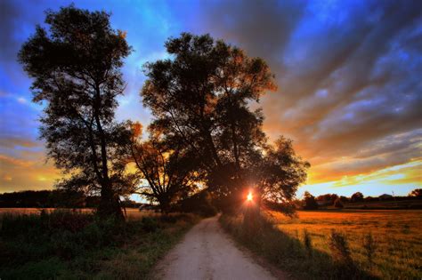 Fond Décran Lumière Du Soleil Paysage Forêt Le Coucher Du Soleil