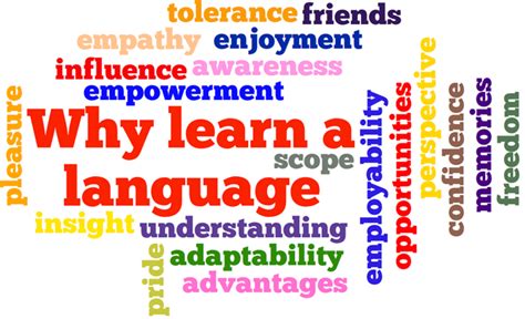 languages b a unm foreign languages and literatures the