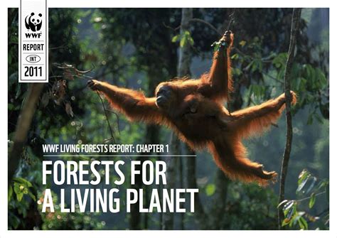 Wwf Propone Meta Global Para Detener La Pérdida Y La Degradación De