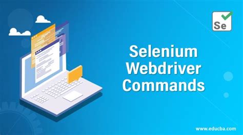 selenium webdriver commands top 6 methods with various