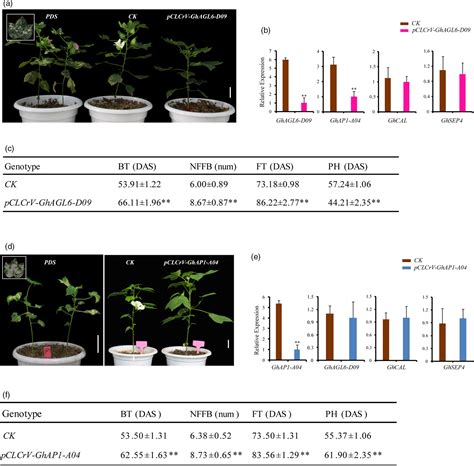High‐resolution Temporal Dynamic Transcriptome Landscape Reveals A