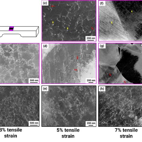 Ecc Micrographs Of Deformation Microstructures From Different Areas And