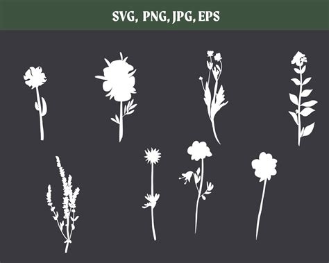 Wildflower Svg Bundle Flower Svg Floral Svg Wildflower Png Wild