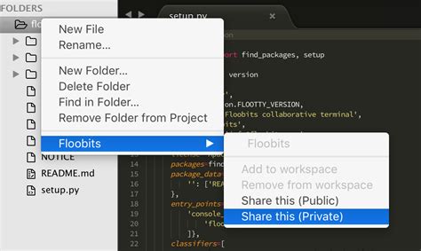 floobits help