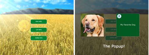 captivate popup manager with 508 accessibility support elearning