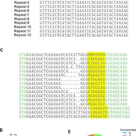 Pam Sequence Analysis For Sauricas9 A Genetic Locus Of Download