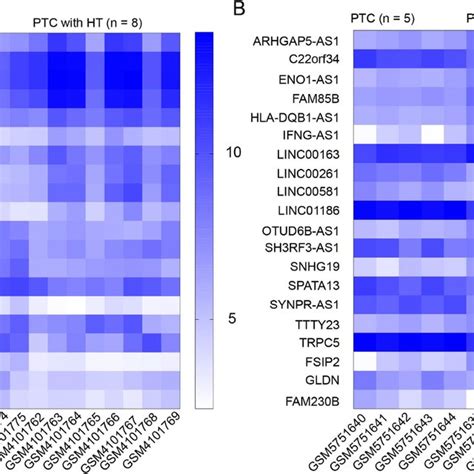 The Heatmaps Showing Expression Diversity Of Genes A And Lncrnas B