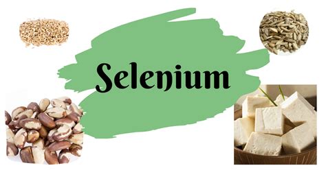 selenium plant powered qi