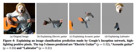 Lime Local Interpretable Model Agnostic Explanations Marco Tulio