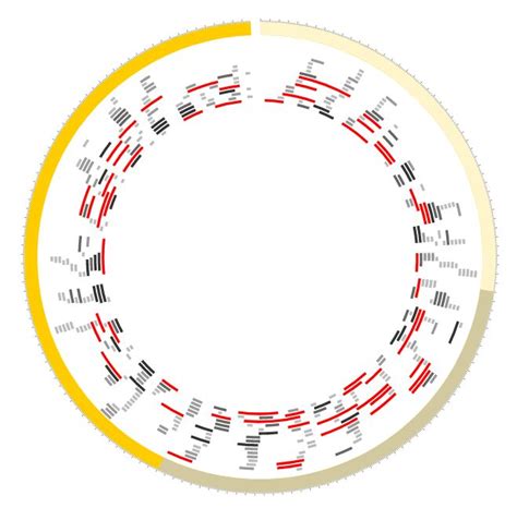 visualize data in a circular layout circos js css script