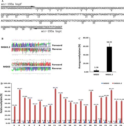 Differential Methylation Of The Mir 193a Gene In Mg63 Versus Mg63 2
