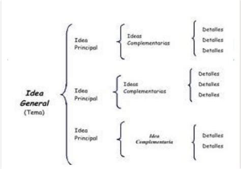 ¿qué Es Cuadro Sinóptico Definición Concepto Y Significado