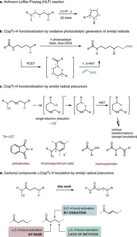 Hlf Type Remote C−h Functionalization Reactions A Hlf Reaction B