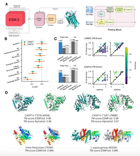 Bioinformatics Protein Structure Prediction Esmfold Alphafold