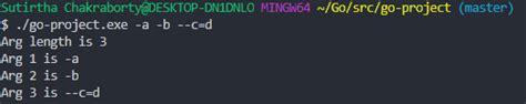 command line arguments in golang golang docs