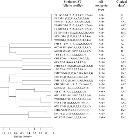 Dendrogram Showing Clustering Analysis Upgma Of The 29 C Difficile
