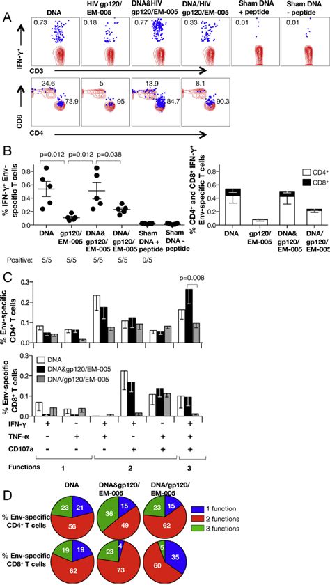 Dna And Protein Co Immunization Elicited Env Specific Polyfunctional