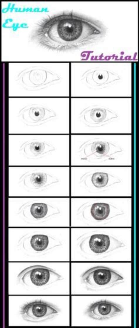 How To Draw An Eye Step By Step Pictures Guides