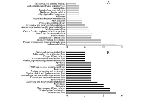 Kegg Pathway Enrichment Analysis Of The Deps Identified In The Leaves