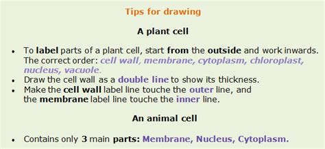 structure biology notes for igcse 2014