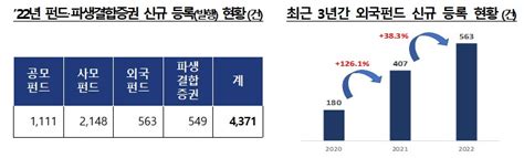 펀드 늑장 심사 사라지나 금감원 펀드신속심사실 신설·인력 확대 머니투데이