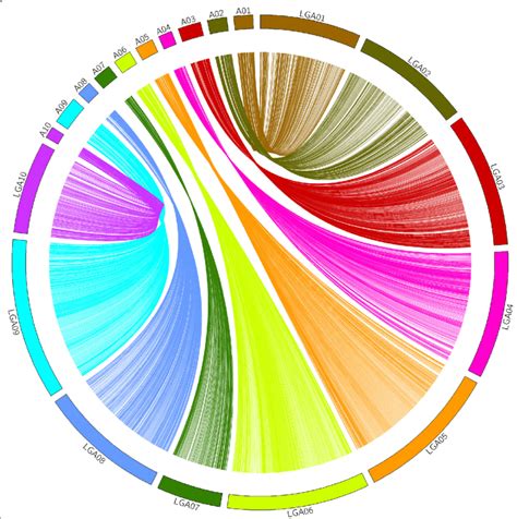 Collinearity Comparison Between The Genetic And Physical Maps A01 A10