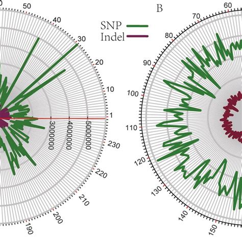 The Number Of Snps And Indels In Resequencing And Transcriptome