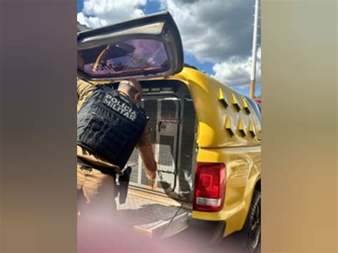 Mulher Com Mandado De Prisão Em Aberto Por Furto é Presa Pela Pm