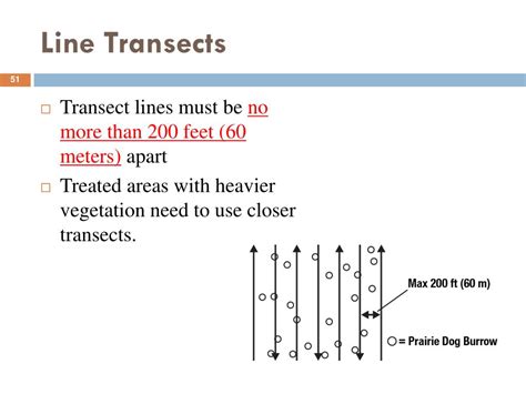 Ppt 2013 Powerpoint Presentation Free Download Id 4458424