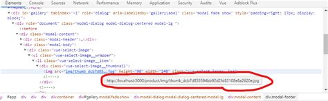javascript image not loading in nested route vue js stack overflow
