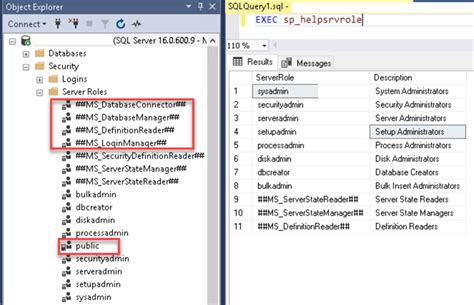 Compare Sql Server Ms Loginmanager And Securityadmin Role