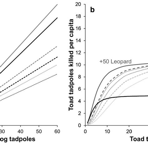 Functional Response Models For Each Prey Type Best Fit Functional