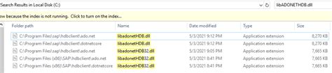 c the type initializer for sap data hana hanaconnection threw an