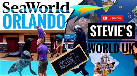 Sea Lion And Otter Spotlight Show Seaworld Orlando Youtube