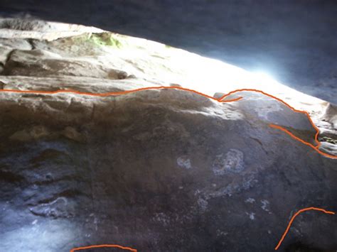 a paleolithic bison in the massif de fontainebleau a