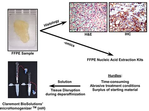 A Novel Method For Rna Extraction From Ffpe Samples Reveals Significant