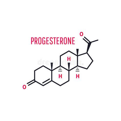 Progesterone Female Sex Hormone Molecule Plays Role In Menstrual Cycle