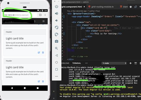 access outside localhost · issue 1793 · angular angular cli · github