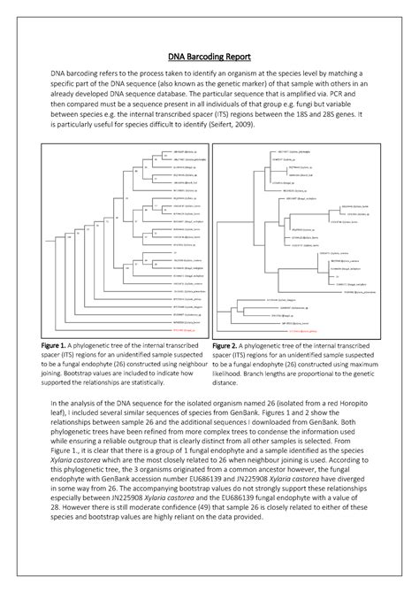 Dna Barcoding Assignment Dna Barcoding Report Dna Barcoding Refers To