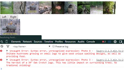 javascript jquery uncaught error syntax error unrecognized