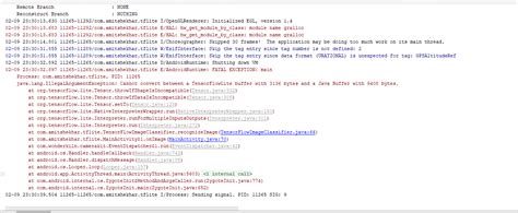 cannot convert between a tensorflowlite buffer with xxx bytes and a