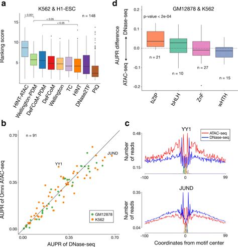 Identification Of Transcription Factor Binding Sites Using Atac Seq