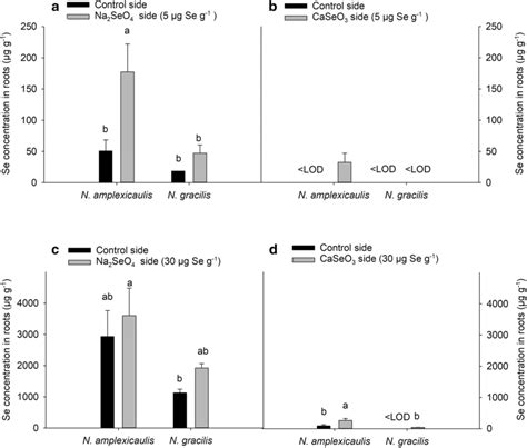 Selenium Concentrations In The Roots Of The Two Areas Of The Rhizotrons