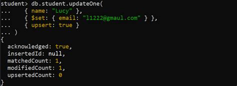 e11000 duplicate key error index in mongodb spark by {examples}