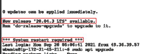 eof and note connected to websocket api error chirpstack application