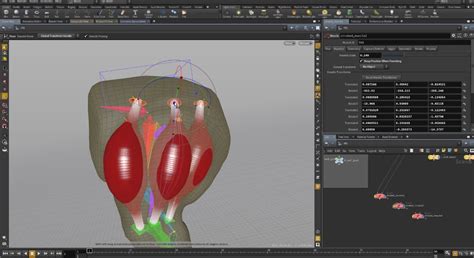 houdini 16 une masterclass sur les muscles 3dvf
