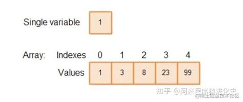 java 数组零基础入门到精通 知乎
