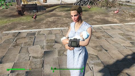 Flashy Joer Crime And Punishment 日本語化対応 イマージョン Fallout4 Mod データベース
