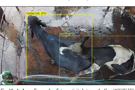Figure 10 From Automated Estrus Detection For Dairy Cattle Through