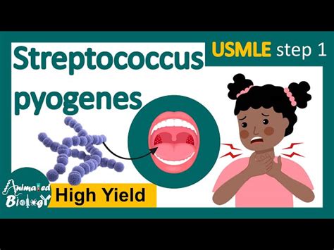 Streptococcus Pyogenes